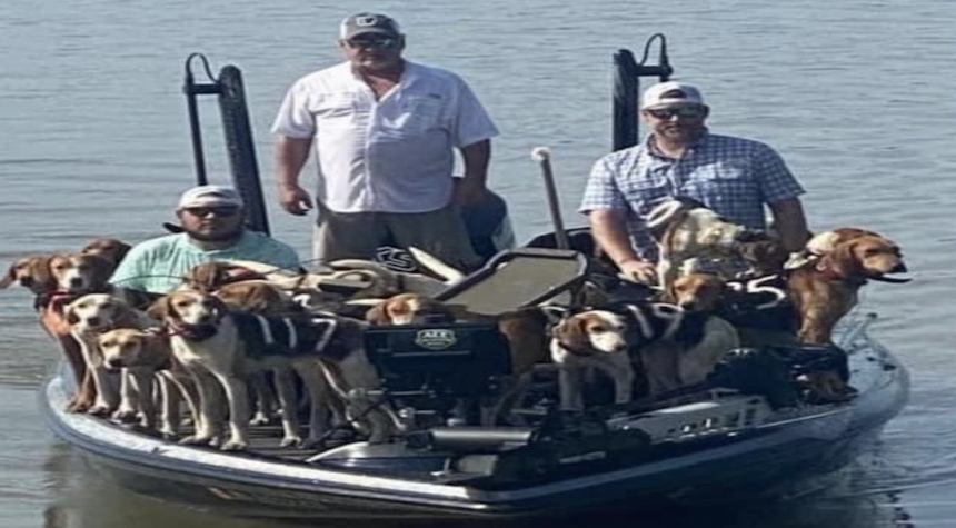 Heroic Fishermen Save 38 Dogs from Drowning with Quick Thinking ...