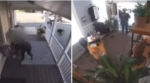 Secret Service Apologizes After Breaking into Massachusetts Salon for ...